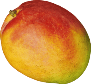 MANGO - Original - ProViva